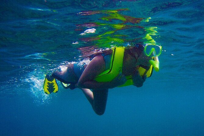 Private Rincon Snorkeling Adventure - Practical Tips for Travelers
