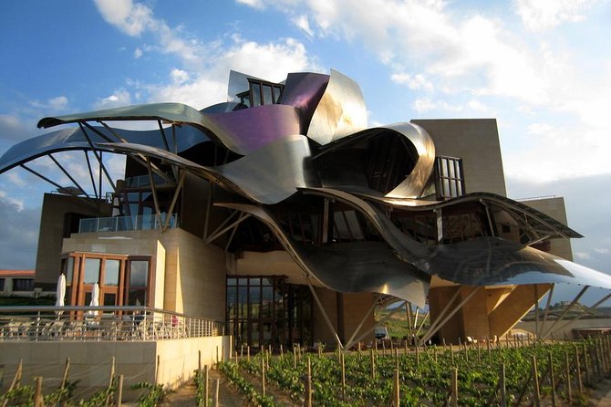 Private Rioja Wine Tasting Tour With Local Lunch - Navigating the Private Tour With Personalized Service
