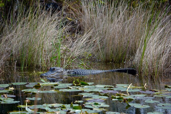 Private River Of Grass Everglades Airboat Adventure - Captains and Crew