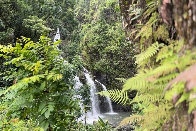 Private Road to Hana Maui Open-Air Jeep Tour - Price and Value