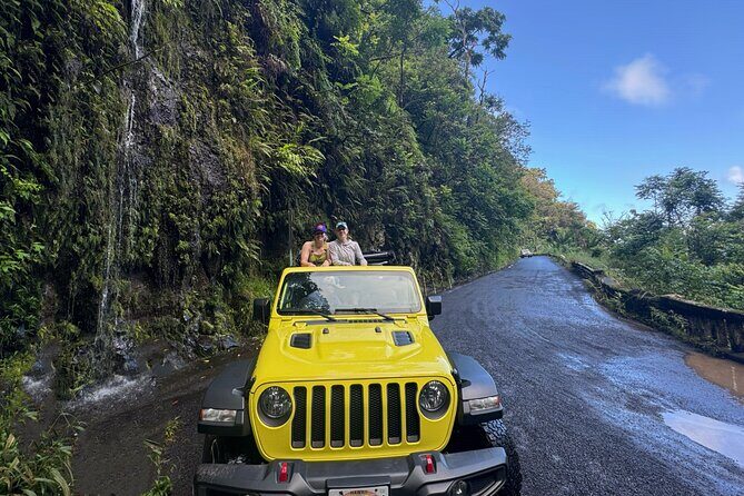 Private Road to Hana Maui Open-Air Jeep Tour - Who Should Consider This Tour?