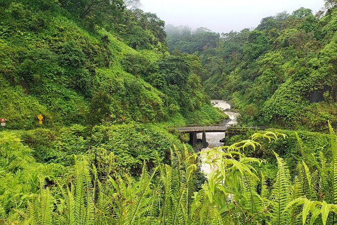 Private Road to Hana or any Maui destination in Luxury Mercedes Sprinter - Why This Tour Stands Out