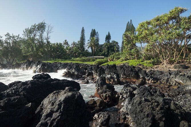 Private Road to Hana Rainforest & Waterfall Experience from Maui - A Practical Guide to the Private Road to Hana Tour
