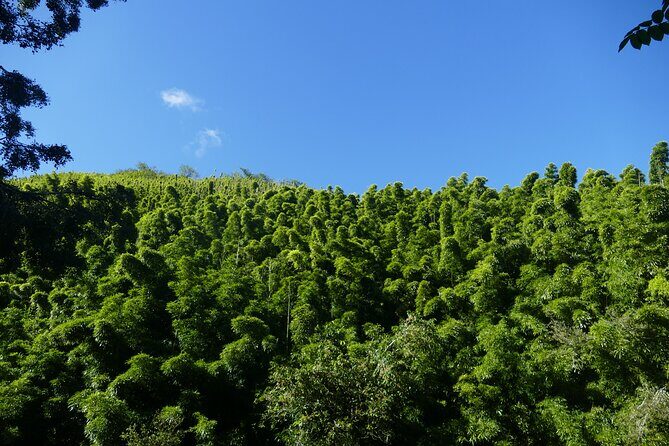 PRIVATE Road to Hana Tour - FAQ