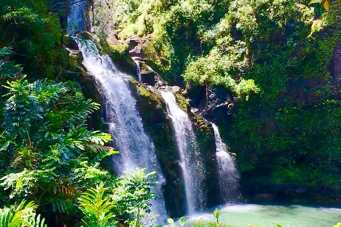 Private Road to Hana Tour - The Value of a Private, Custom Tour