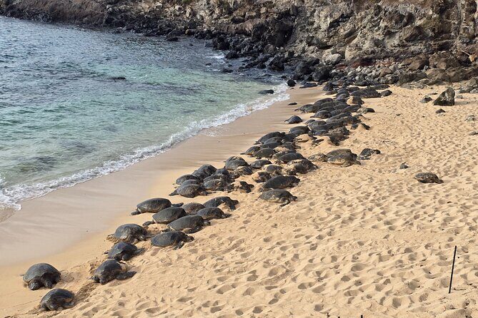 Private Road to Hana Tour with Pickup - Introduction
