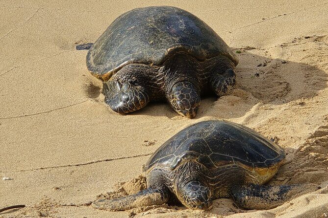 Private Road to Hana Tour with Pickup - What This Tour Means for You