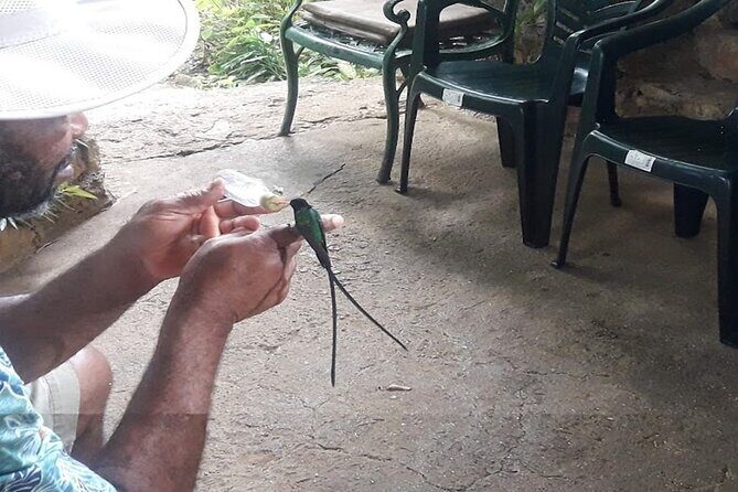 Private Rockland Bird Sanctuary Tour from Falmouth - A Closer Look at the Rockland Bird Sanctuary Tour