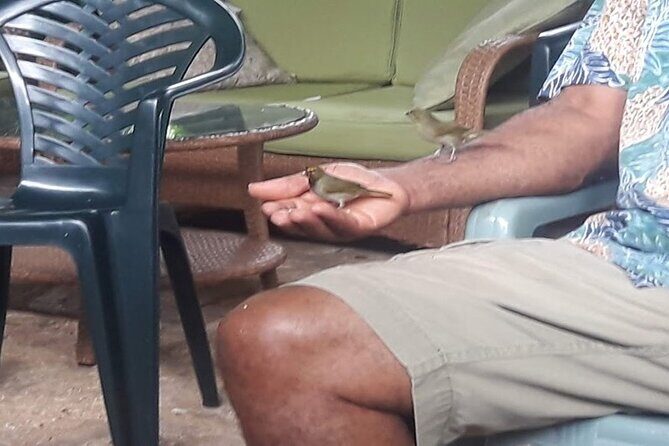 Private Rockland Bird Sanctuary Tour from Falmouth - FAQ: Your Questions Answered