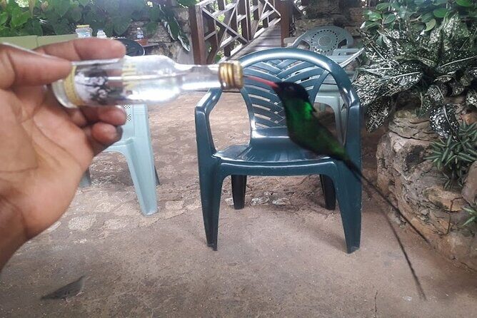 Private Rockland Bird Sanctuary Tour from Falmouth - Final Thoughts