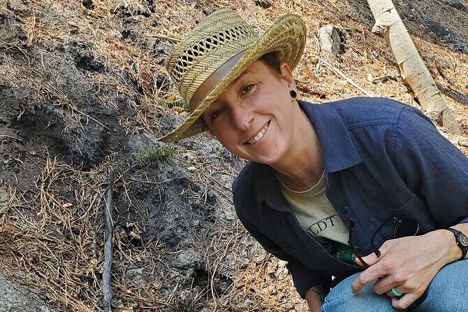 Private Rocky Mountain Foraging Experience - The Sum Up