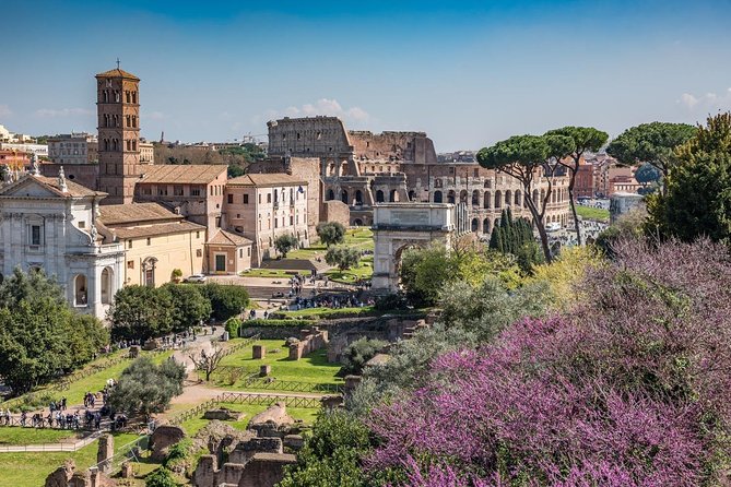 Private Rome in a Day Tour With Colosseum & Sistine Chapel: Essential Experience - Inclusions and Fees Explained