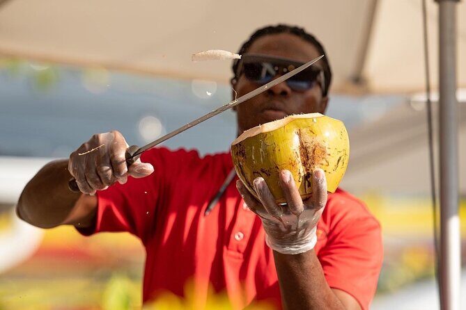 Private Rose Hall Great House, 17th Century Plantation House Tour - Practical Details: What You Need to Know