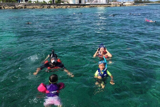 Private Rose Island, Swimming Pigs, Snorkeling and Turtles - Practical Details and Tips