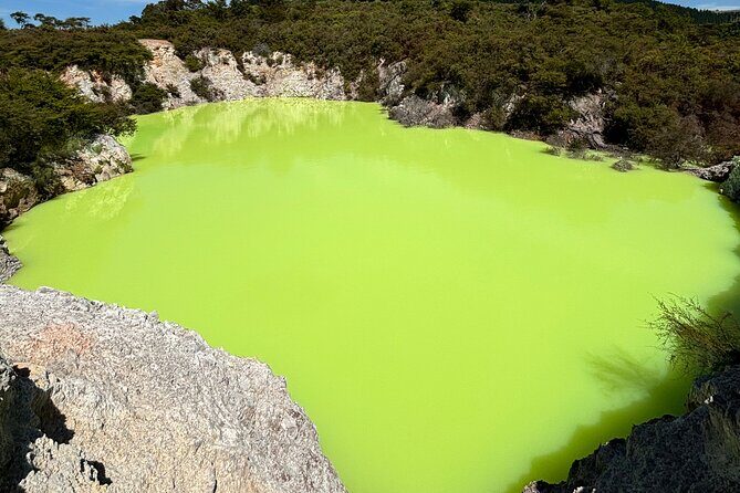 Private RotoruaTour Waiotapu & Redwood forest & spa from Auckland - Key Points