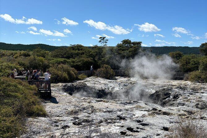 Private RotoruaTour Waiotapu & Redwood forest & spa from Auckland - A Closer Look at the Itinerary