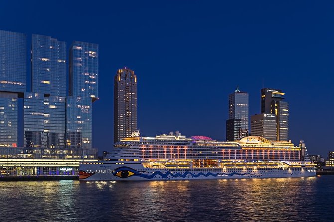 Private Rotterdam Architecture Walking Tour - Included Services