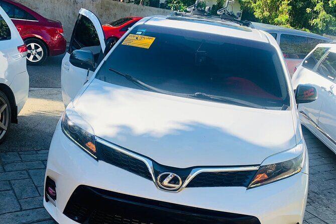 Private Round Trip La Romana Airport to Punta Cana Hotel/Villa/Rental Transfer - The Booking Process and Flexibility