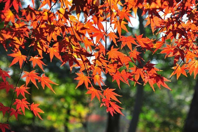 Private Round Trip to Tianping Mtn & Mudu Water Town from Suzhou - What Travelers Say