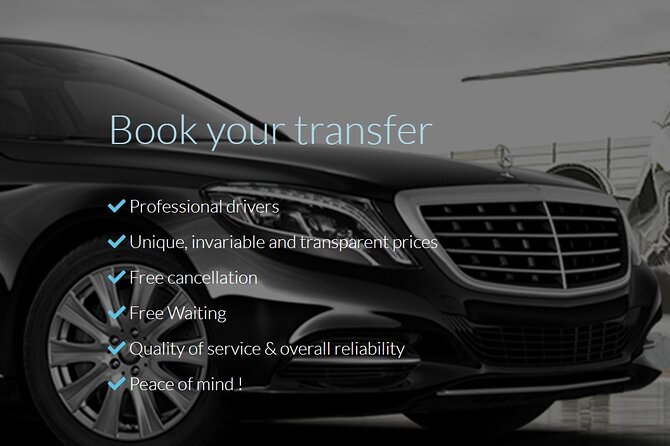 Private round trip transfer from/to PARIS <=> DISNEYLAND - Final Thoughts