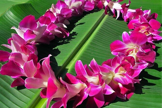 Private Round-Trip Transfer: Maui Kahului Airport to Maui Hotels - Who Will Love This Service?