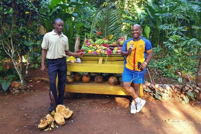 Private Round Trip Transfer to YAAMAN Adventure Park Ocho Rios - Final Thoughts