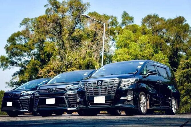 Private Roundtrip Airport Transfer to Resorts in Negril - Key Points