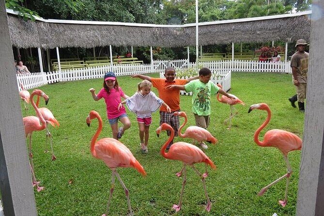 Private Roundtrip Sedan Airport Transfer - Who Would Benefit Most?