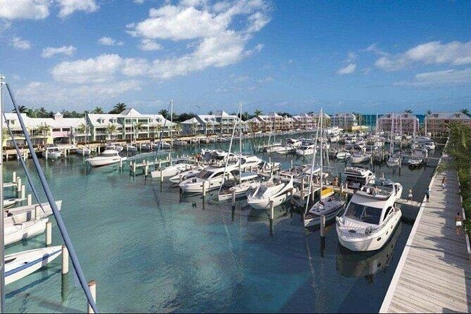 Private Roundtrip Sedan Airport Transfer to Palm Cay - Introduction