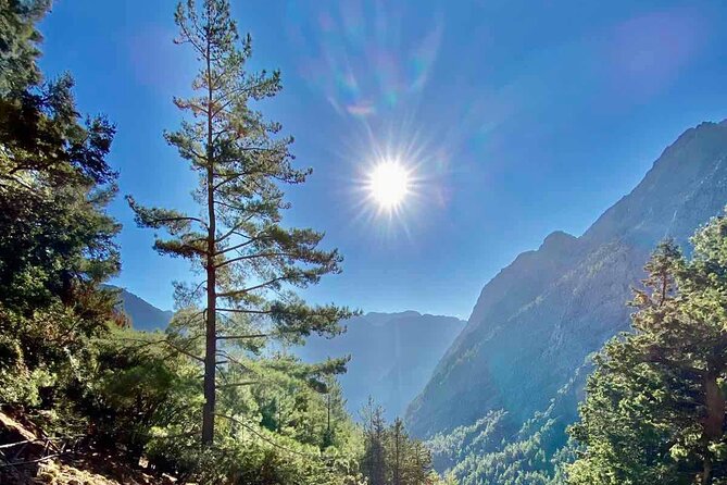 Private Roundtrip Transfer From Chania to Samaria Gorge Park - Recommendations for Hikers