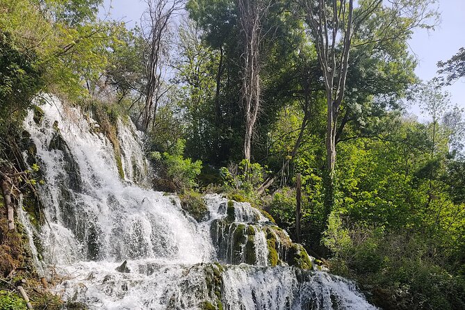 Private Roundtrip Transfer from Zadar to Krka National Park - The Experience: From Booking to Returning