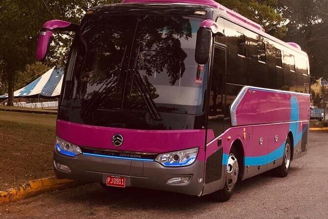 Private Roundtrip Transfer to Riu Aquarelle from Sangster Airport - Why This Transfer Is Worth Considering