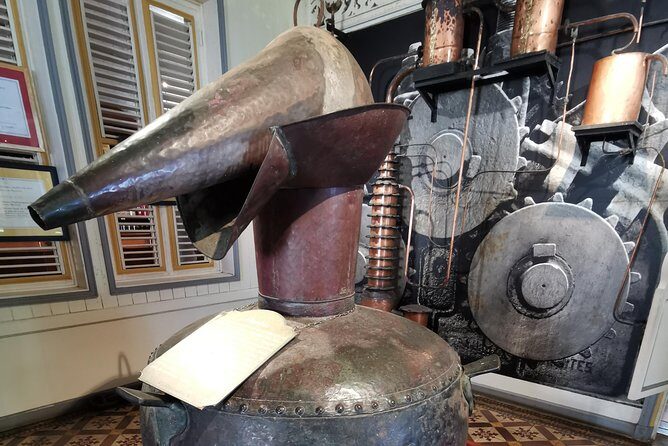 Private Rum Matnik and Beach Tour - Transportation, Timing, and Group Size