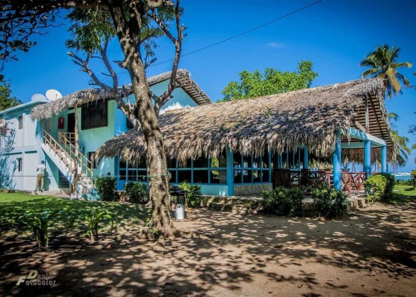 Private: Rural & Urban Dominican Life Tour: Flavors, Fields - An Overview of the Experience