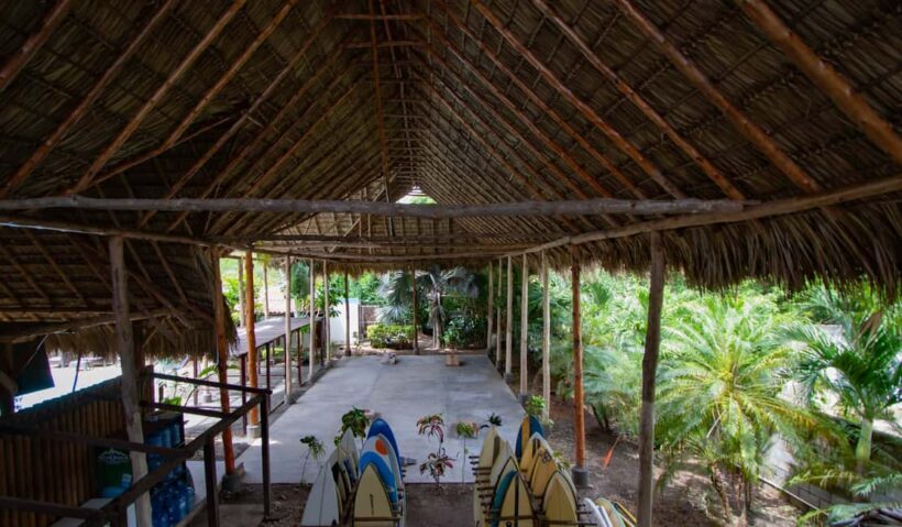 Private: Rural & Urban Dominican Life Tour: Flavors, Fields - Detailed Look at the Itinerary