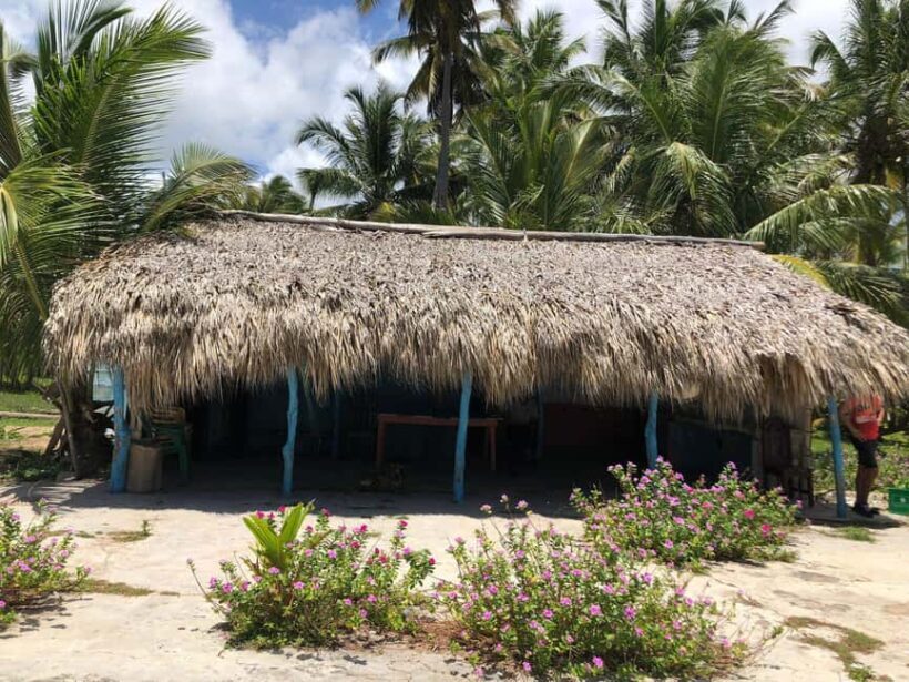 Private: Rural & Urban Dominican Life Tour: Flavors, Fields - Final Words