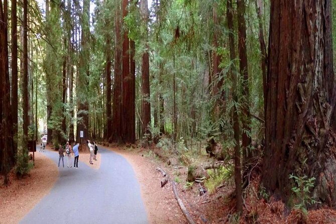 Private Russian River Day Trip from San Francisco: Redwoods and Wine Country - The Itinerary: What to Expect