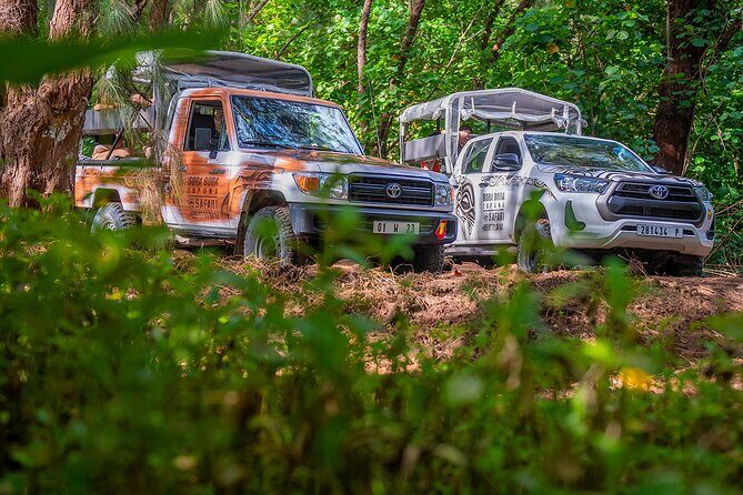 Private Safari Adventure Tour in Bora Bora with Local Guide - The Sum Up: Who Will Love This Tour?