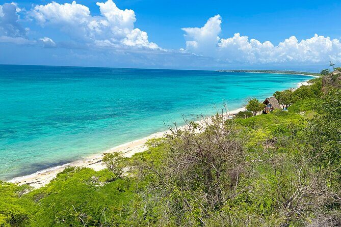 Private Safari Bahía de las Águilas and Laguna de Oviedo - The Crown Jewel: Bahía de las Águilas