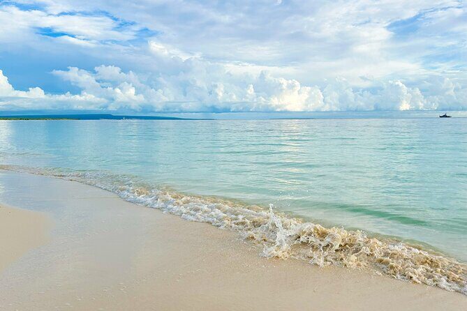 Private Safari Bahía de las Águilas and Laguna de Oviedo - Transportation, Comfort, and Safety