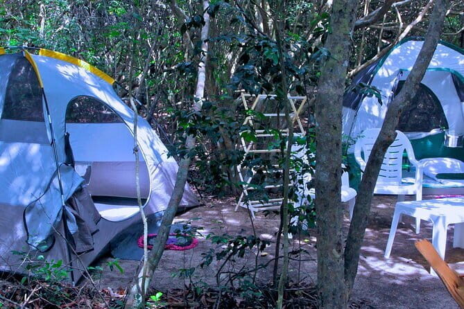 Private Safari Camping in Sri Lanka - Authentic Feedback and Real Experiences