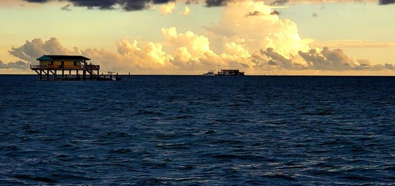 Private Sail Cruise around Miami waterfront - Who Should Consider This Experience?