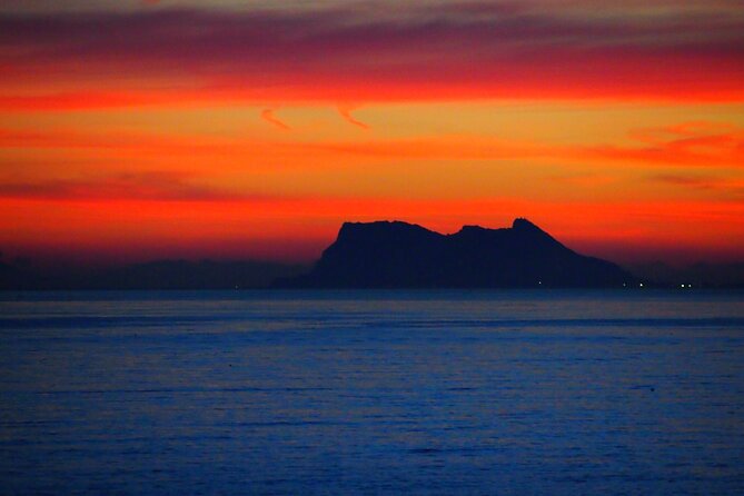 Private Sailing - Dolphin Experience From Estepona - Drink & Food - Reviewing Customer Experiences