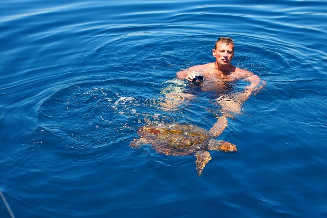 Private Sailing - Dolphin Experience From Estepona - Drink & Food - Addressing Negative Feedback
