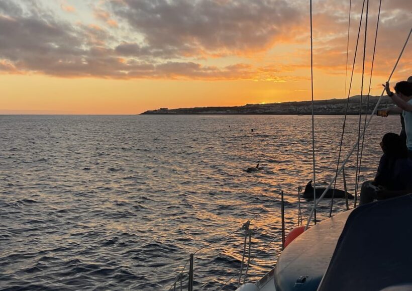 Private Sailing Sunset Tour PDL - Final Thoughts