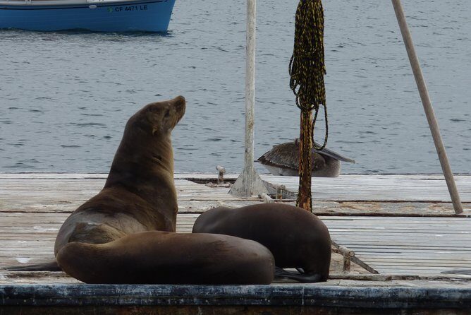 Private Sailing Tour -2 Hour (Up to 12 Passengers) - A Closer Look at the Private Sailing Tour in San Diego