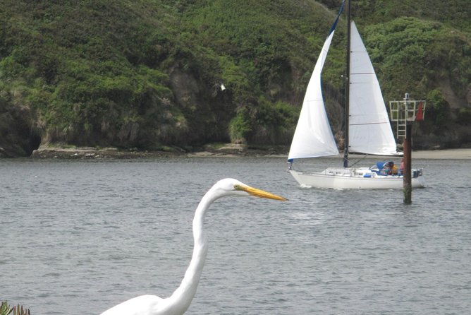 Private Sailing Tour of Bodega Bay - Meeting and Pickup Information