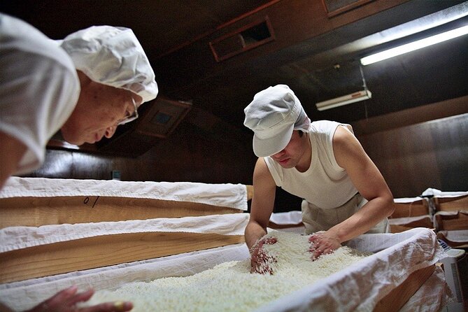 Private Sake Brewery Visit and Tasting Tour in Hida - The Hida Region and Tenryo Sake Brewery