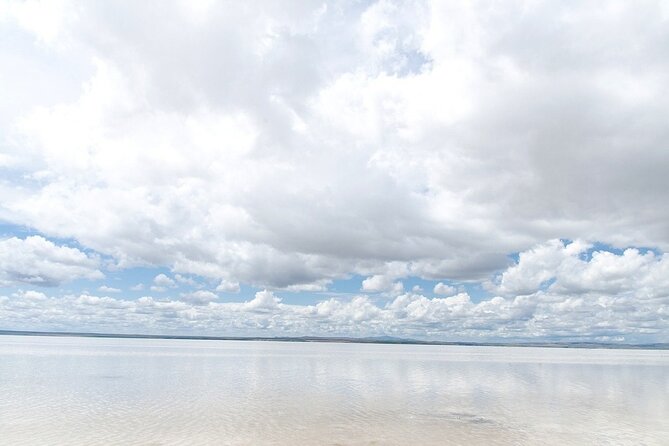 Private Salt Lake Tour - The Sum Up