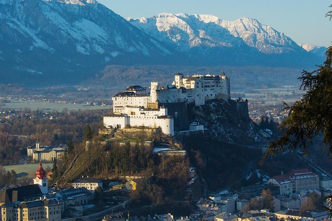Private Salzburg Day Trip from Vienna - What to Expect During the Day